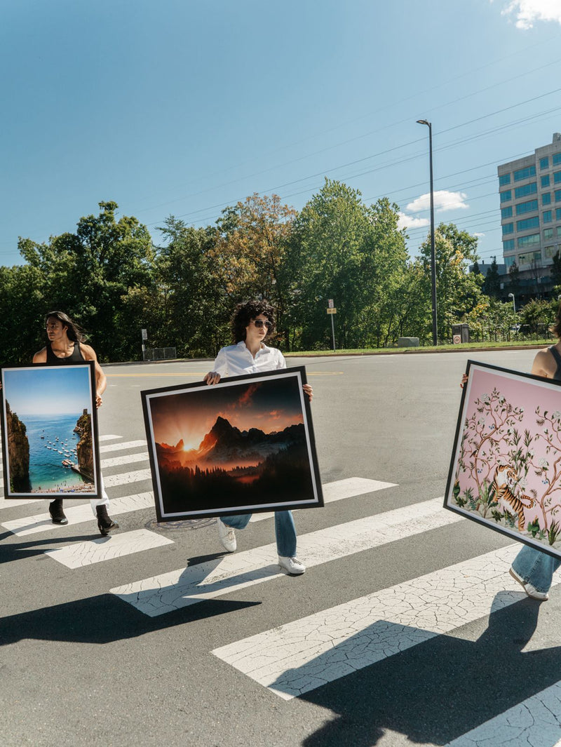 Apricus Art Collection - Connecting More People with More Art