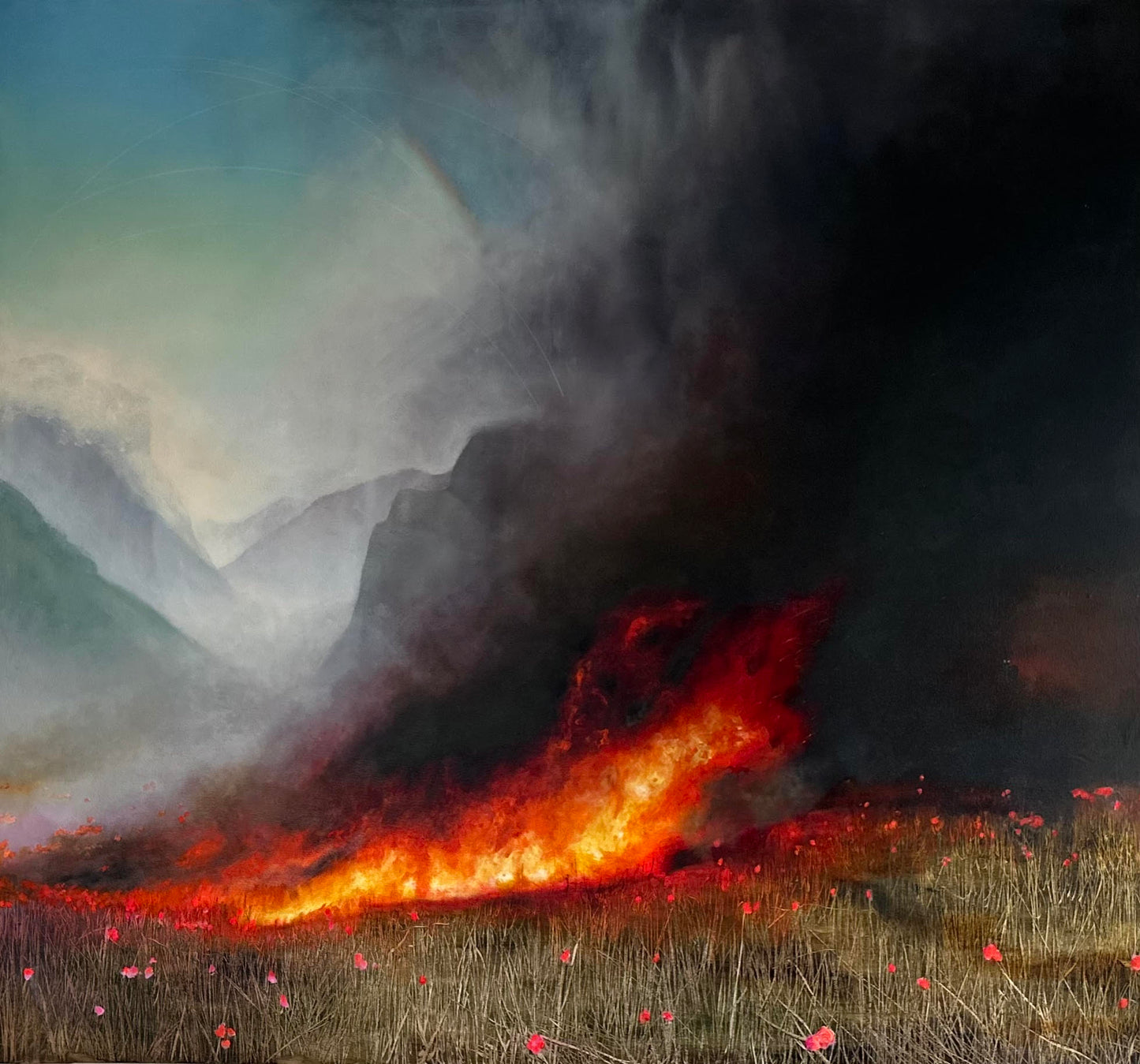 'EVERYTHING YOU KNOW' - Oil on Canvas – Apricus Art Collection